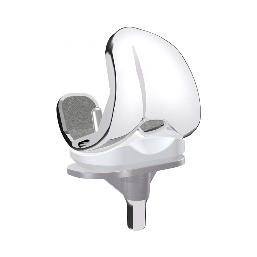 Prótesis de Rodilla MULTIGEN MODELO PS (ESTABILIZADA POSTERIOR) - Top ...